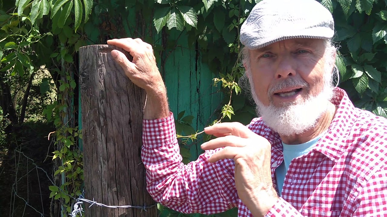 Interview with Doug Bannister- benefits of Elderberry, - YouTube