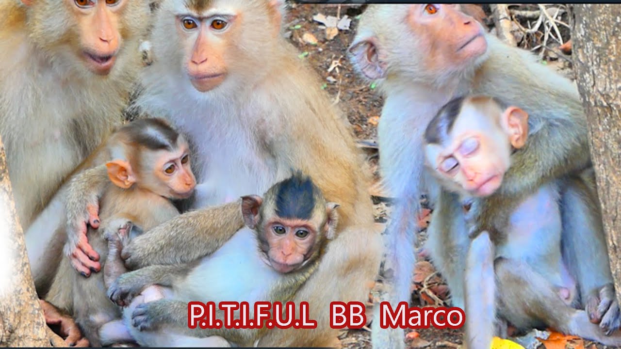 W.O.W.! Sweet-little Marco is full of Skills and also really Funny when ...