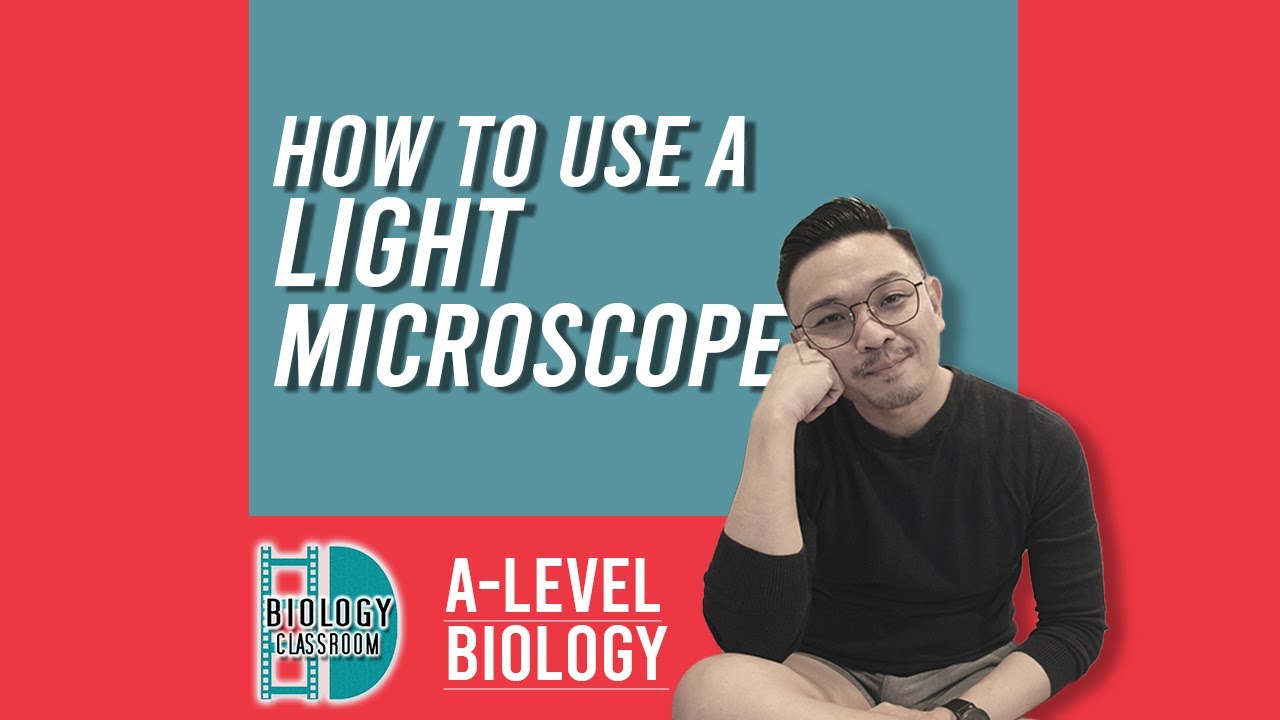 A-Level Biology - Light microscope: some basic guidelines - YouTube