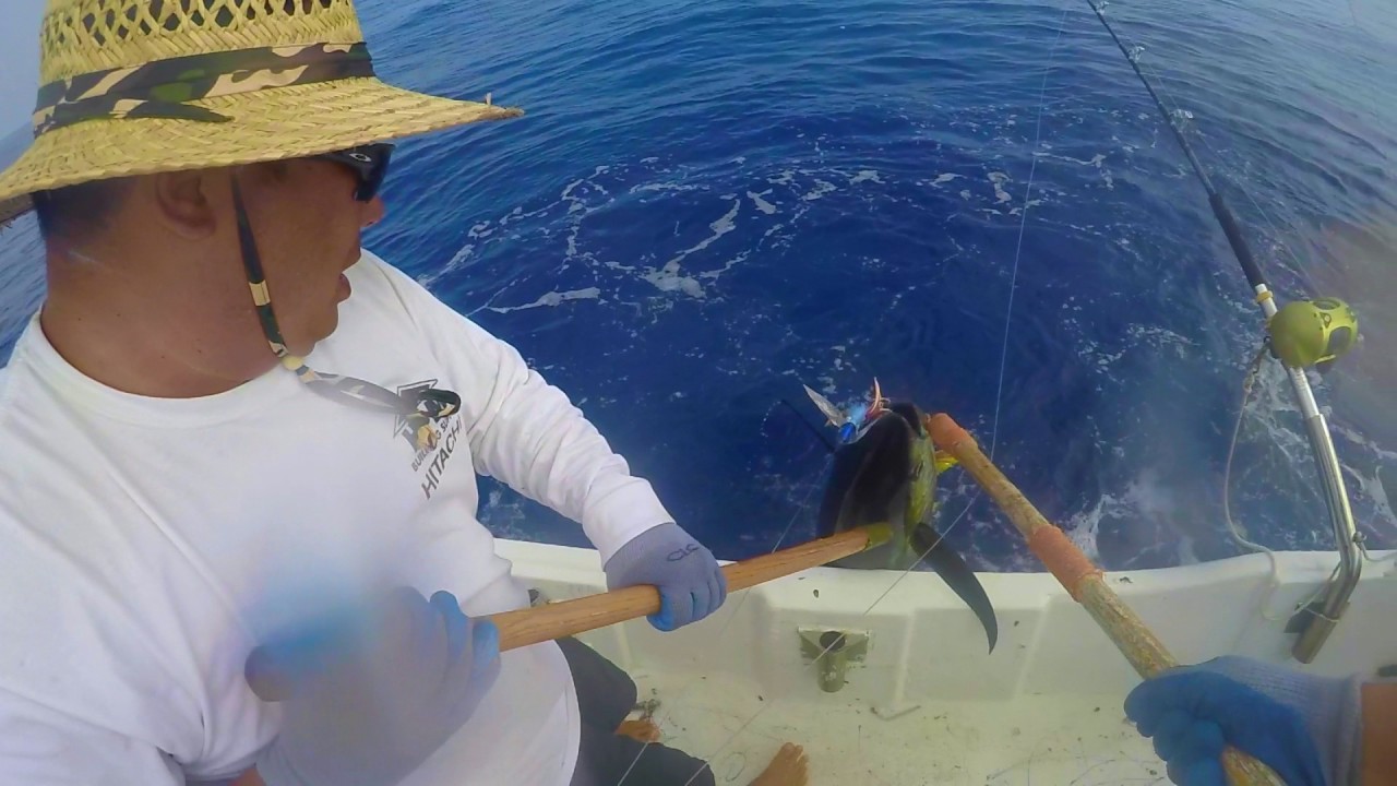 2017 Ep #2 - Chris' Shibi Fishing Hawaii GoPro - YouTube
