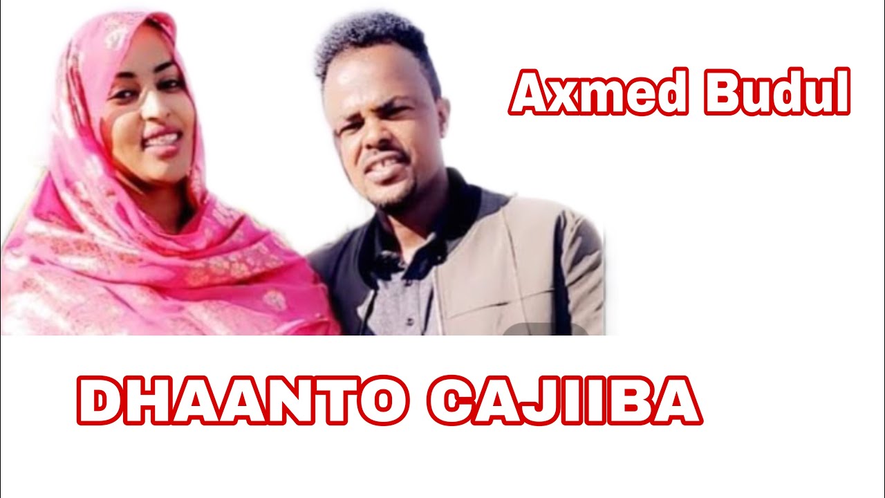 DHAANTO AXMED BUDUL IYO MADAXWAYNAHA DDS MUSTAFE OMAR QORAXAY - YouTube