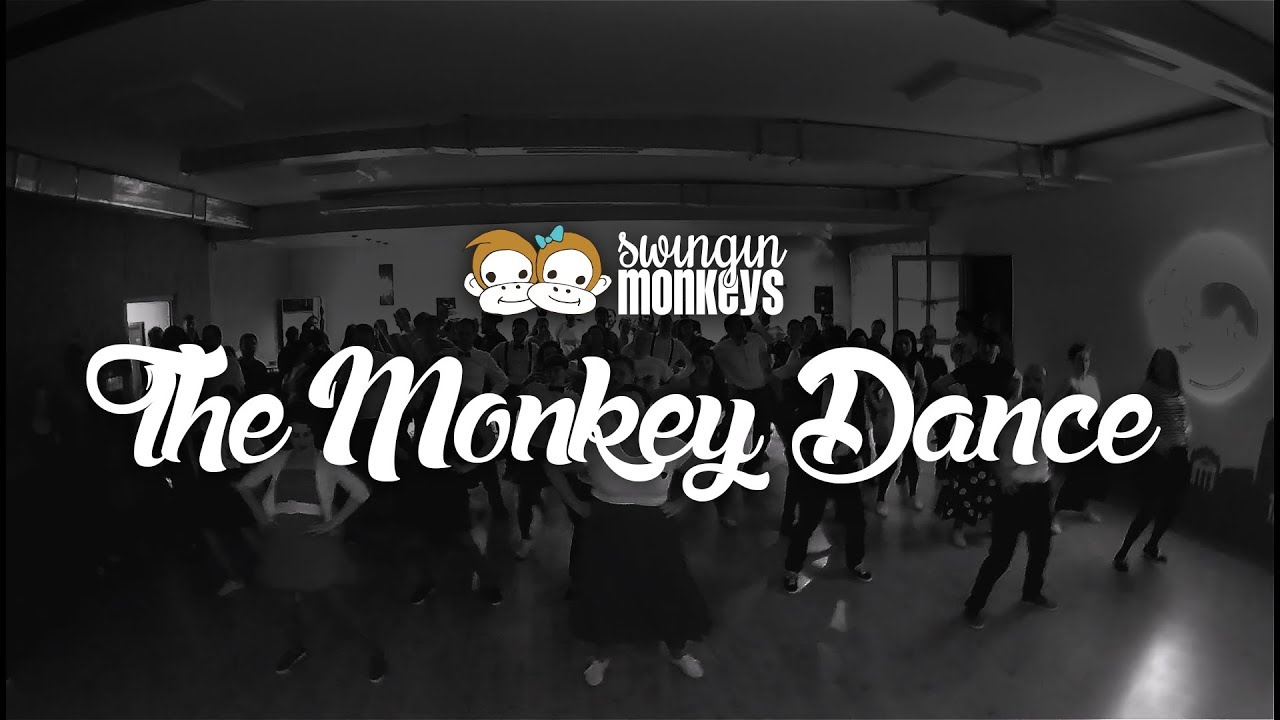 Swingin Monkeys | The Monkey Dance - YouTube