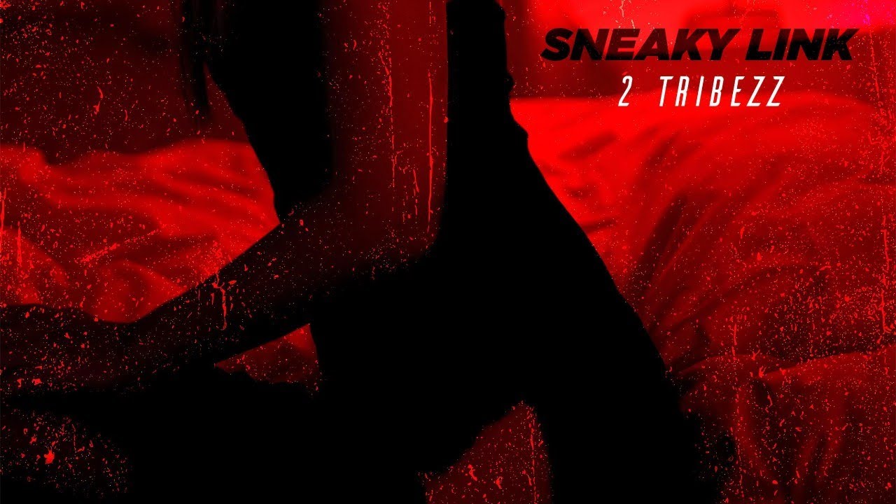 Sneaky Link 🔗 2Tribezz ft. @Asheeshz (Official Lyrics Video) 2023 - YouTube