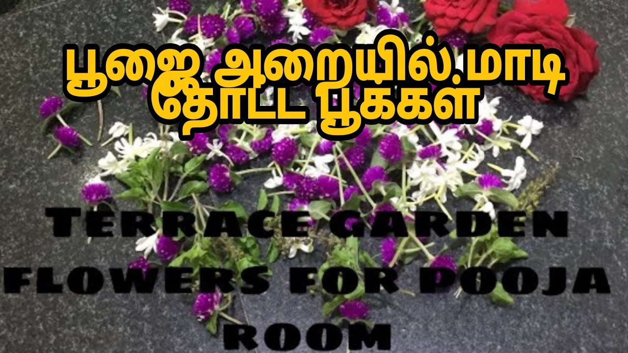Tamil Flower Names With Pictures Pdf | Best Flower Site