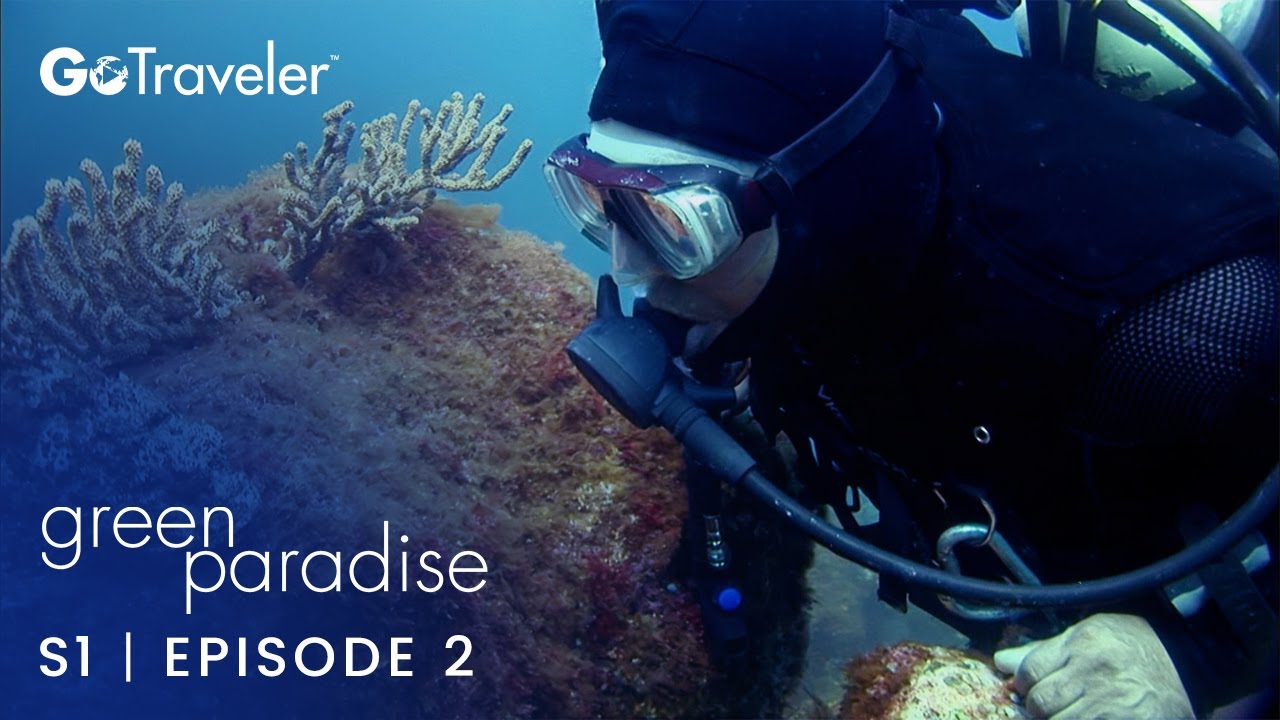 Green Paradise | S1E2 | Mexico -- A Desert Between Two Seas - YouTube