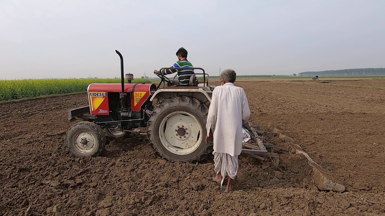 Eicher 242 tractor pulling 9 tynes cultivator in the field - YouTube