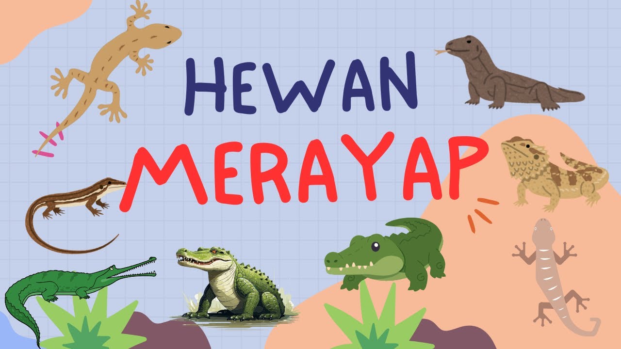 HEWAN YANG MERAYAP - Dunia Hewan | Mengenal Hewan - YouTube