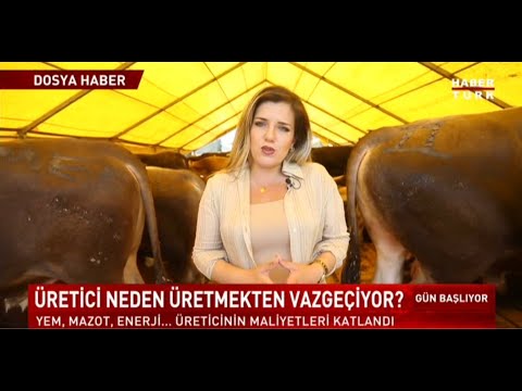 Et ve süt krizinde çözüm ne? Üreticiler anlattı
