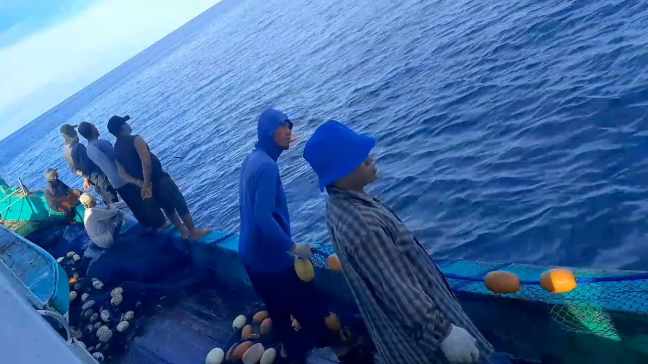 hadi channel Mengejutkan terlihat kawanan ikan pilok terbanyak pawang ...