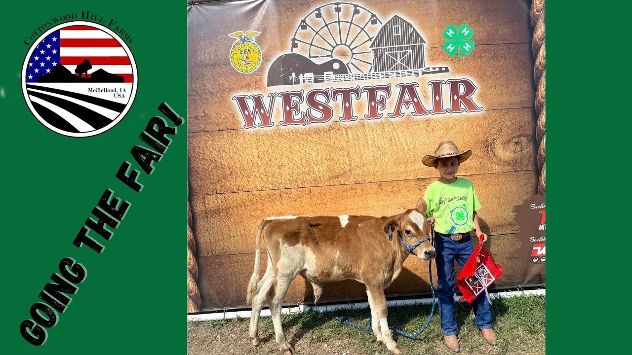 County Fair Time! First time 4-H'er! - YouTube