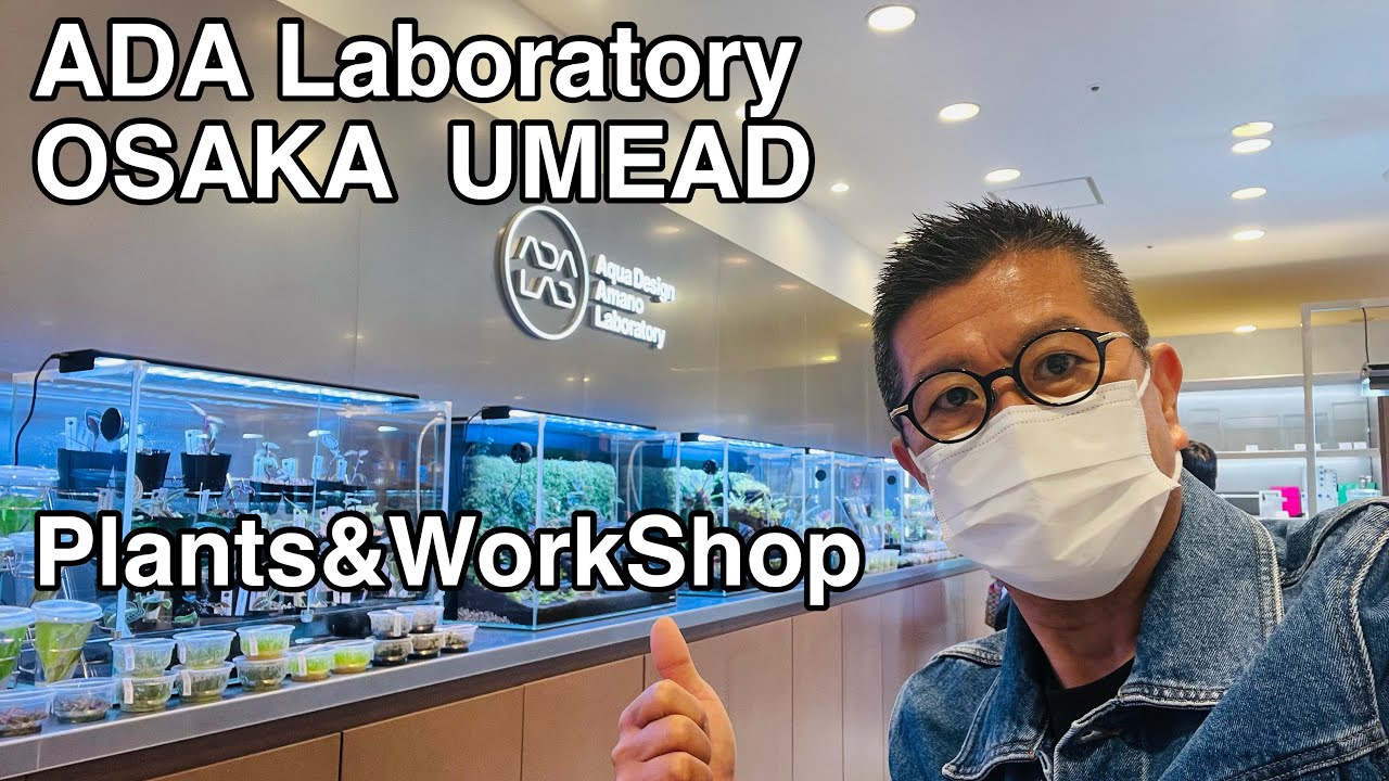 ADA Laboratory UMEDA Info AquaRevue Neo CH☆Official☆ - YouTube
