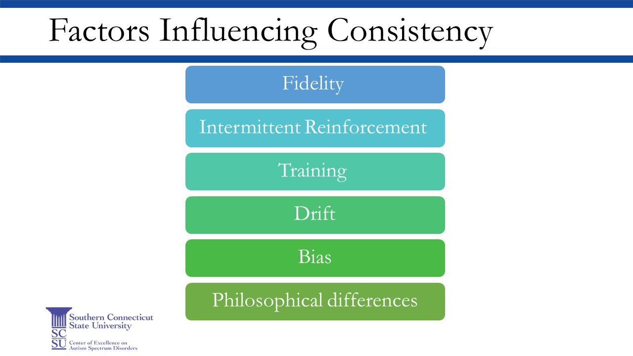 4-Consistency and Support-SCSU ASD Center-Successful Strategies for ...