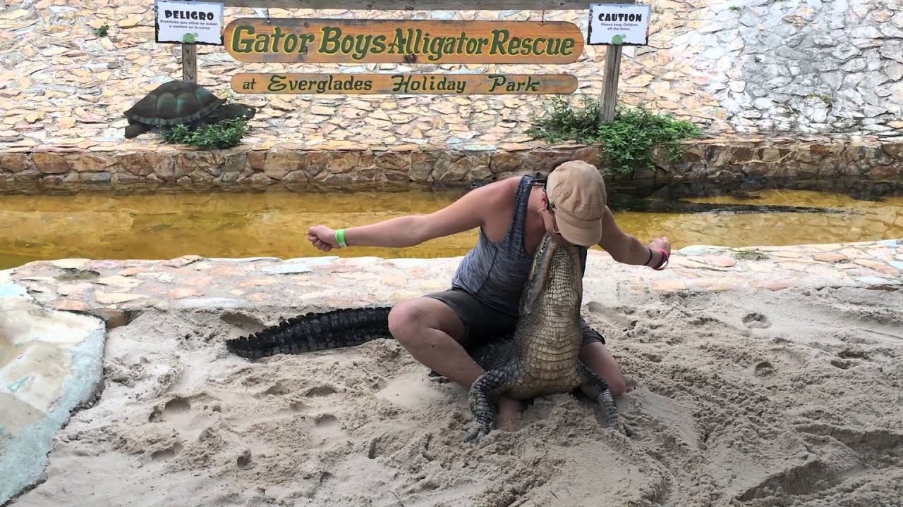 4th Day- Alligator Show 1080p - YouTube