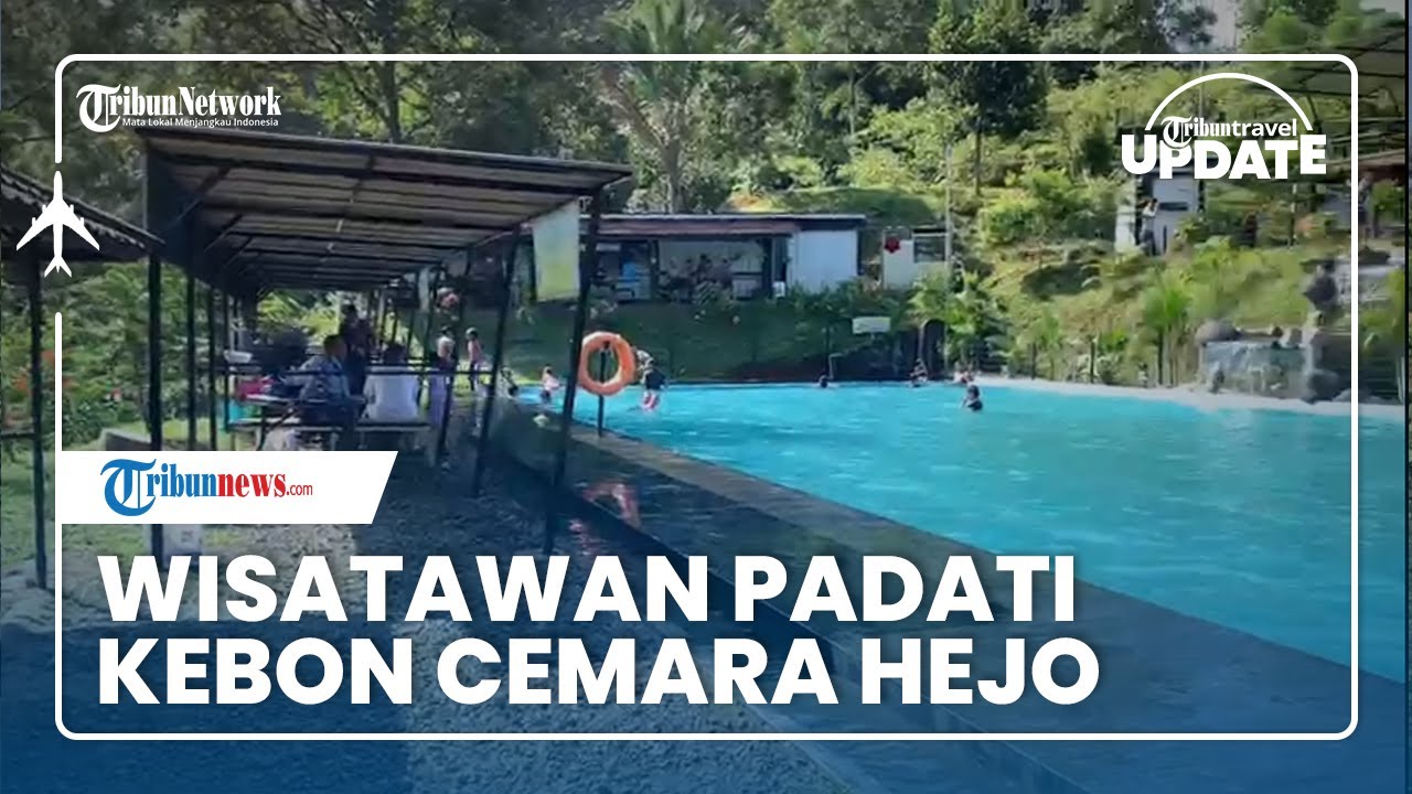 Libur Waisak 2022, Wisata Kebon Cemara Hejo yang Suguhkan Suasana Alam ...
