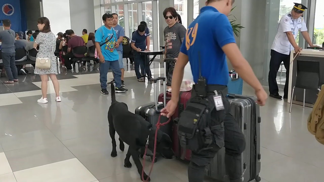 The K9 Security Check at Shopping Mall SM Cebu, Philippines - YouTube