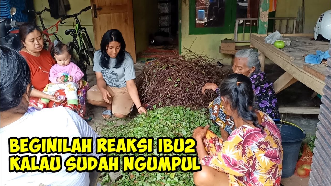 Beginilah Reaksi ibu2 desa kalau sudah berkumpul || Kehidupan di desa ...