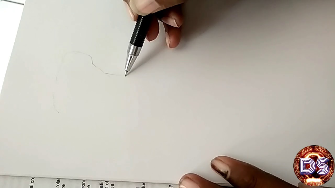 How to draw tibia | drawing of tibia - YouTube