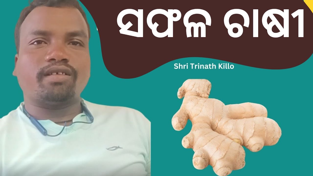 Sharing of practices followed in ginger farming by an Expert Farmer ...