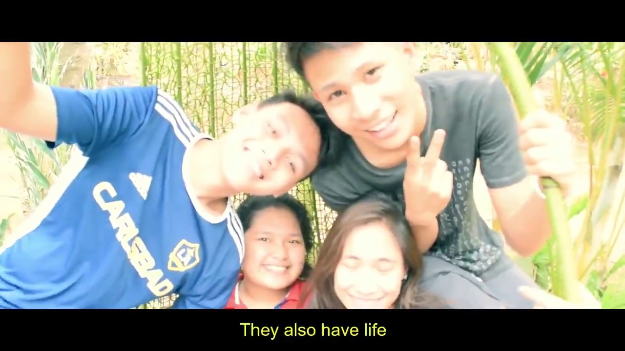 UNSDG #15: Life on Land - YouTube