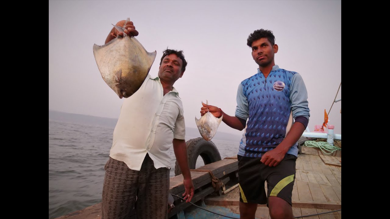 Caught a big Khapri Pomfret in Dabhol creek - YouTube