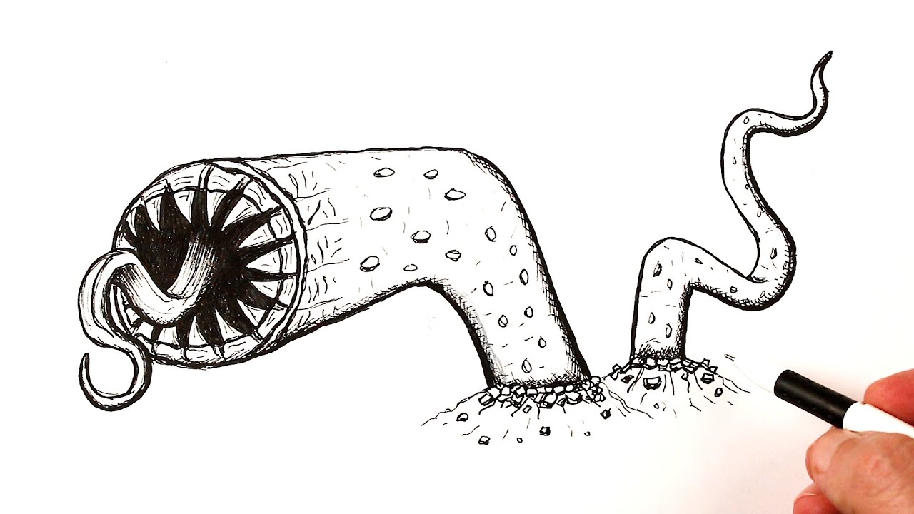 How to draw Worm Eater - YouTube