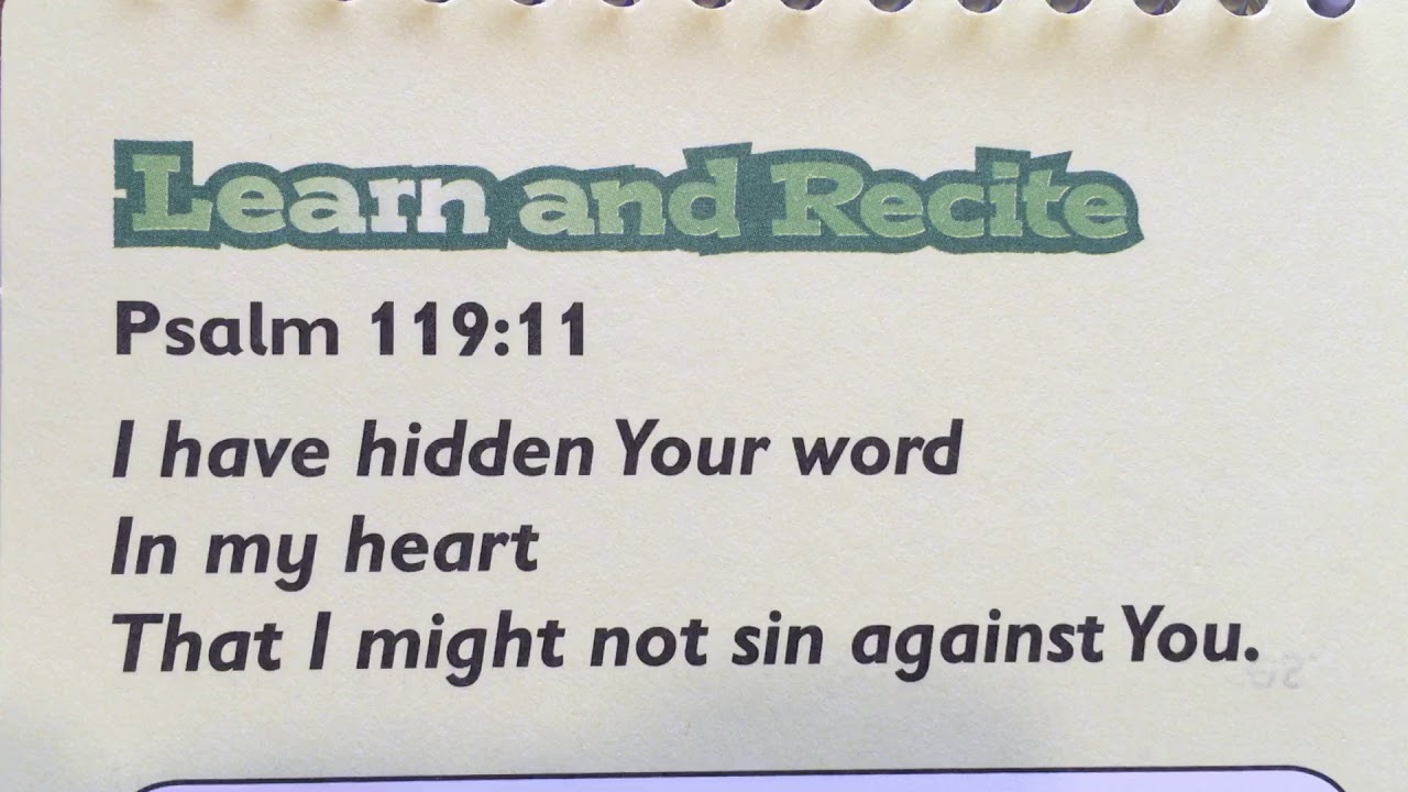 Awana Sky Stormer Frequent Flyer Psalm 119:11 NIV - YouTube