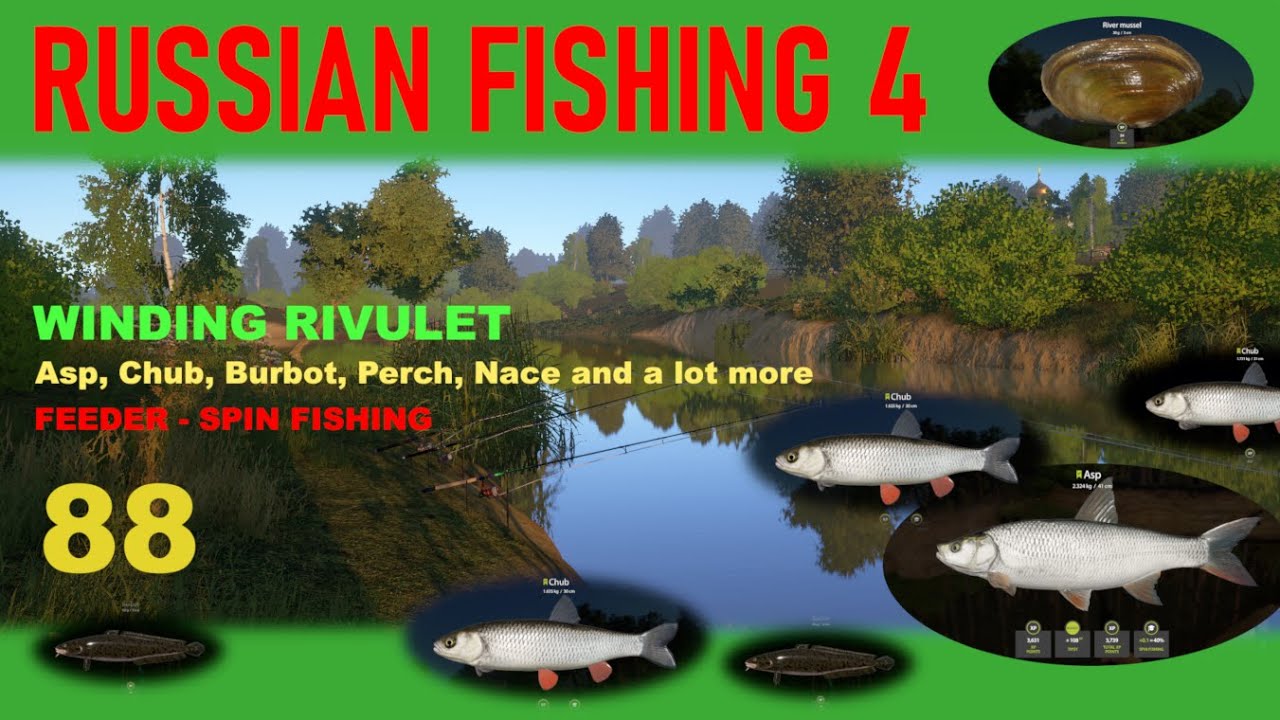 RUSSIAN FISHING 4 - 88 - WINDING RIVULET - Feeder & Spin Fishing - Nice ...