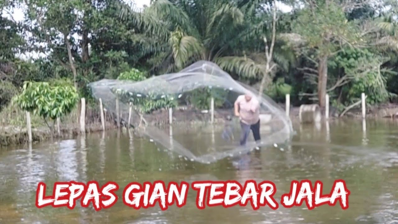 (Ep.199) Belajar 3 Cara Menebar Jala - YouTube