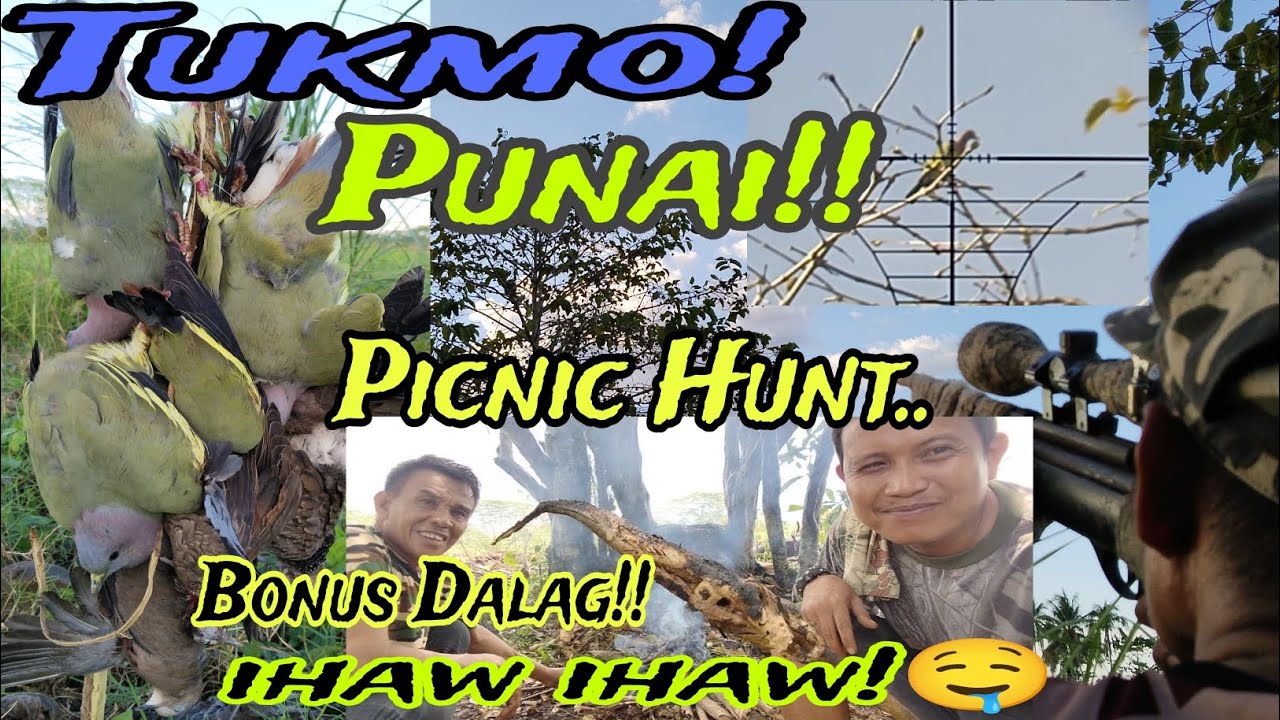 PiCNiC HUNT! PUNAi,TUKMO may Bunos dalag pa.😇 #pestcontrol #airgun # ...