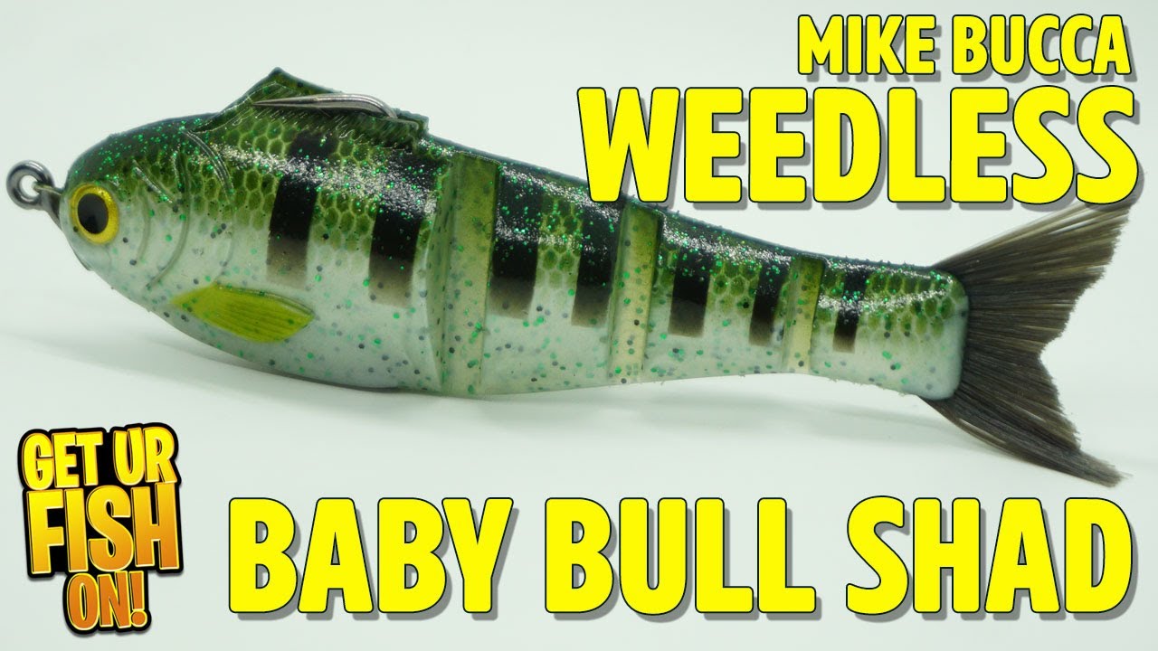 BETTER THAN THE OG? Mike Bucca WEEDLESS Baby Bull Shad Bass Fishing ...
