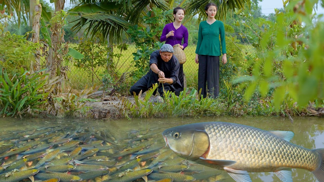 A bumper fishing season: you won't know the size of these fish - YouTube