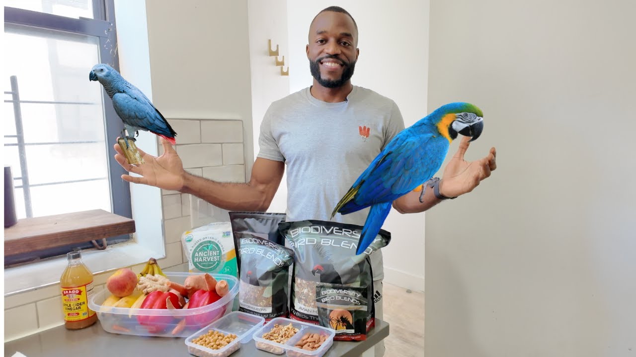 How I Feed My African Greys! | A Guide to a Diverse and Nutritious Diet ...