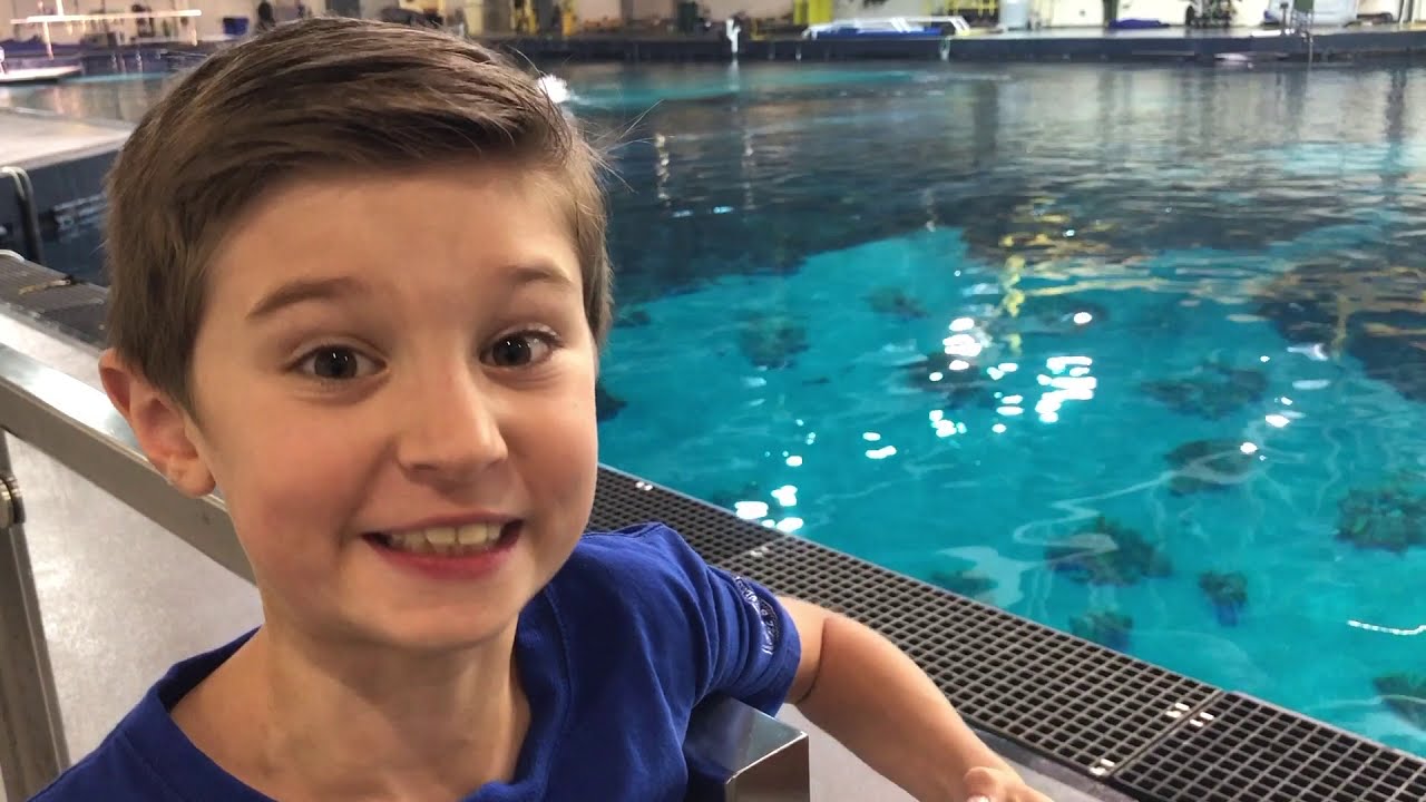 MMNews Episode 44 - Home Edition #12 (SEVA 2021 - 4-6 Newscast) - YouTube