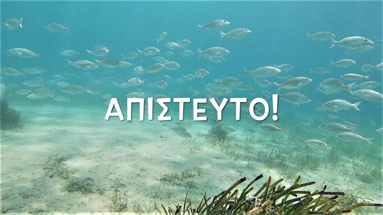 ΟΙ ΠΙΟ ΝΟΣΤΙΜΟΙ ΜΕΖΕΔΕΣ ΣΤΑ ΡΗΧΑ ΝΕΡΑ!!! / DELICIOUS APPETIZERS IN ...