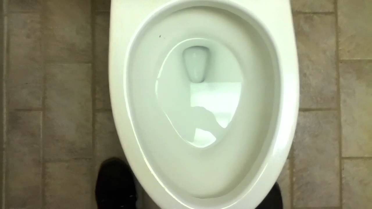 Bathroom Tour: Comfort Inn American Standard Toilet and Urinal with ...