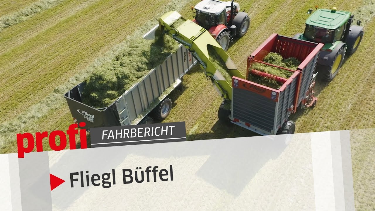 Nimmersatter Büffel: Fliegl Überlade-Ladewagen | profi #Fahrbericht ...