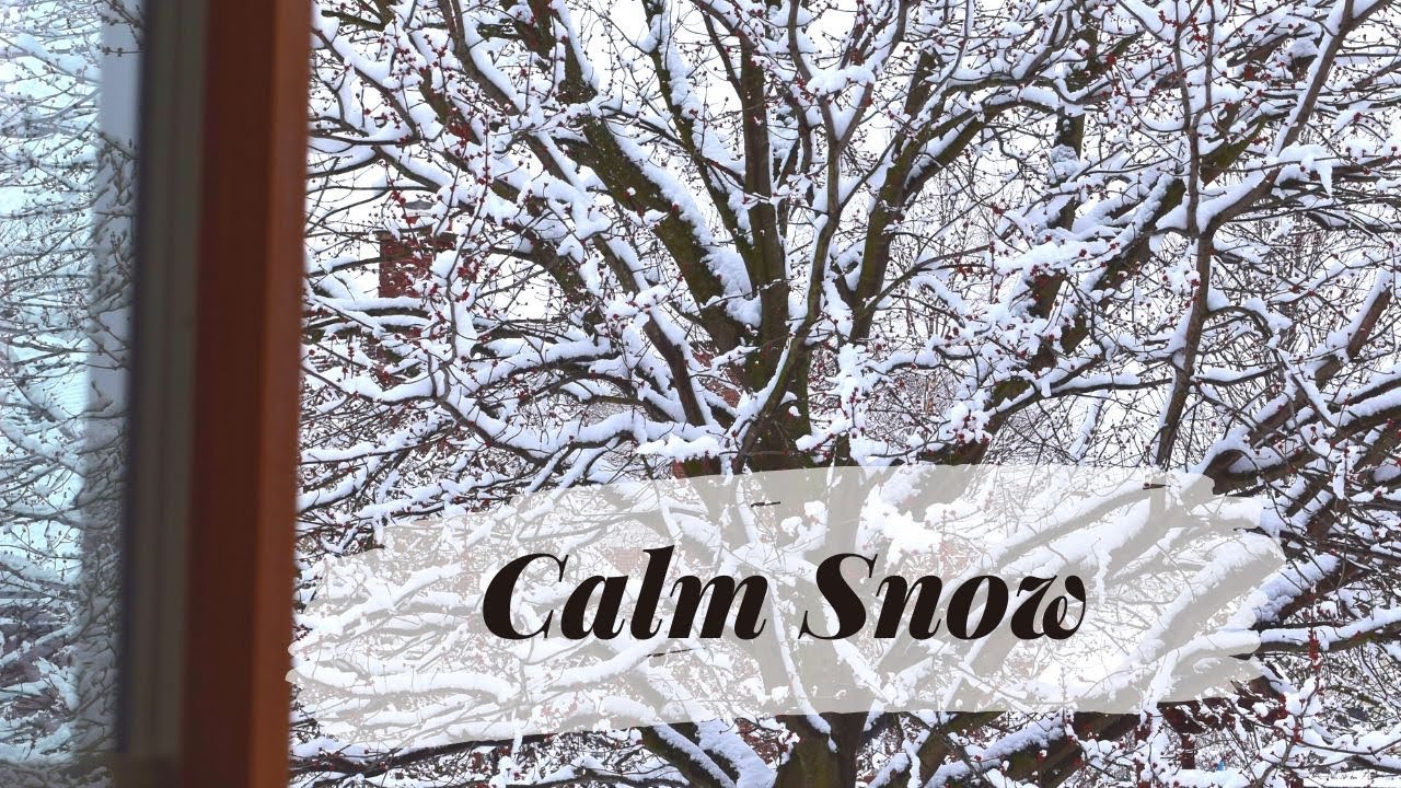 ASMR relaxing piano music Snowy day [[ slow calm motion ]] - YouTube