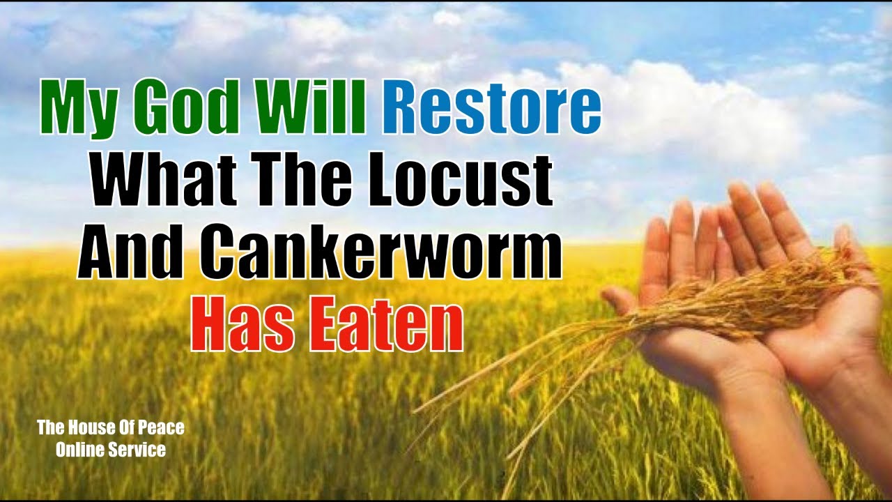 My God Will Restore What The Locust And Cankerworm Has Eaten - YouTube