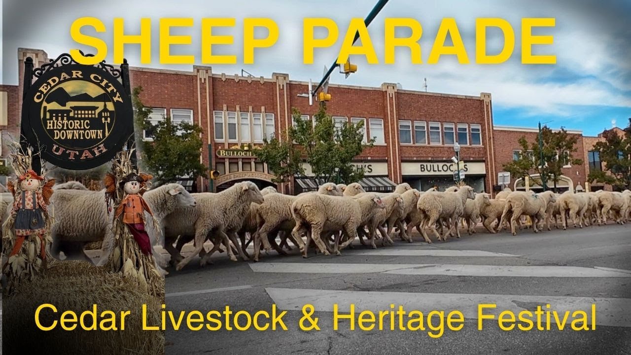 Experience Cedar City's Unique Sheep Parade- A Community Celebration ...