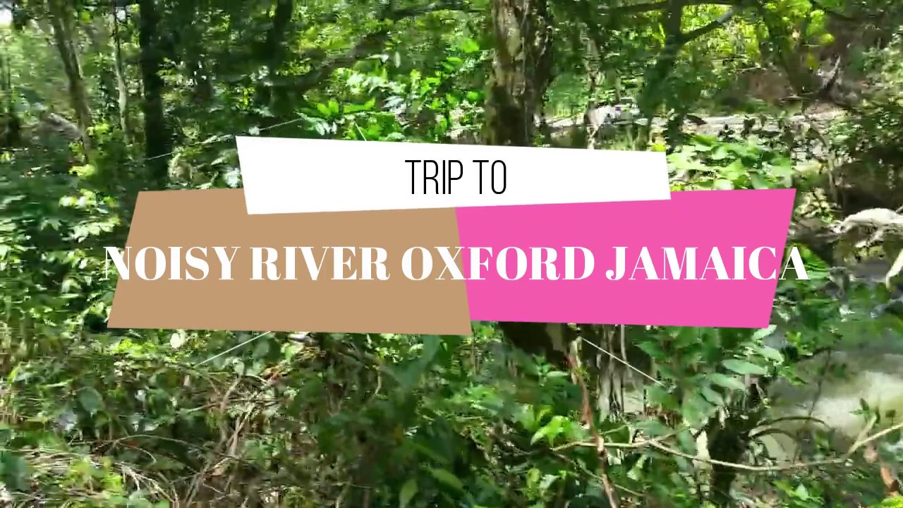 Trip to Noisy river, St. Elizabeth Jamaica - YouTube