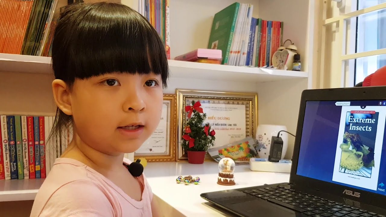 Learn english with Mimi- rakid A to Z- Level I- Extreme insects - YouTube