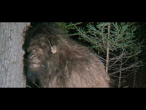 The Most HORRIFYING New SCARIEST Bigfoot Attack YOU Need to See! *TERRIFYING FOOTAGE*