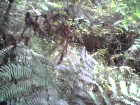 keindahan Curug 1000 yang penuh misteri - YouTube