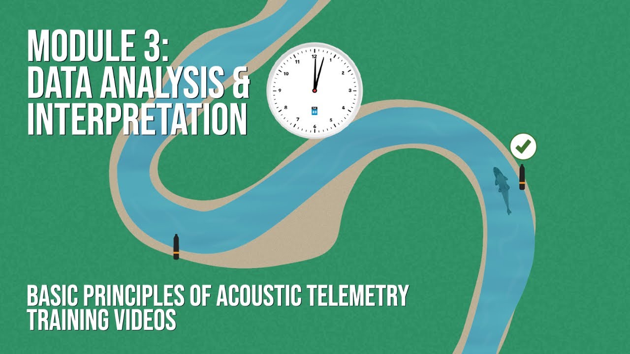 Introduction to Acoustic Telemetry | Module 3: Data Analysis and Interpretation - YouTube