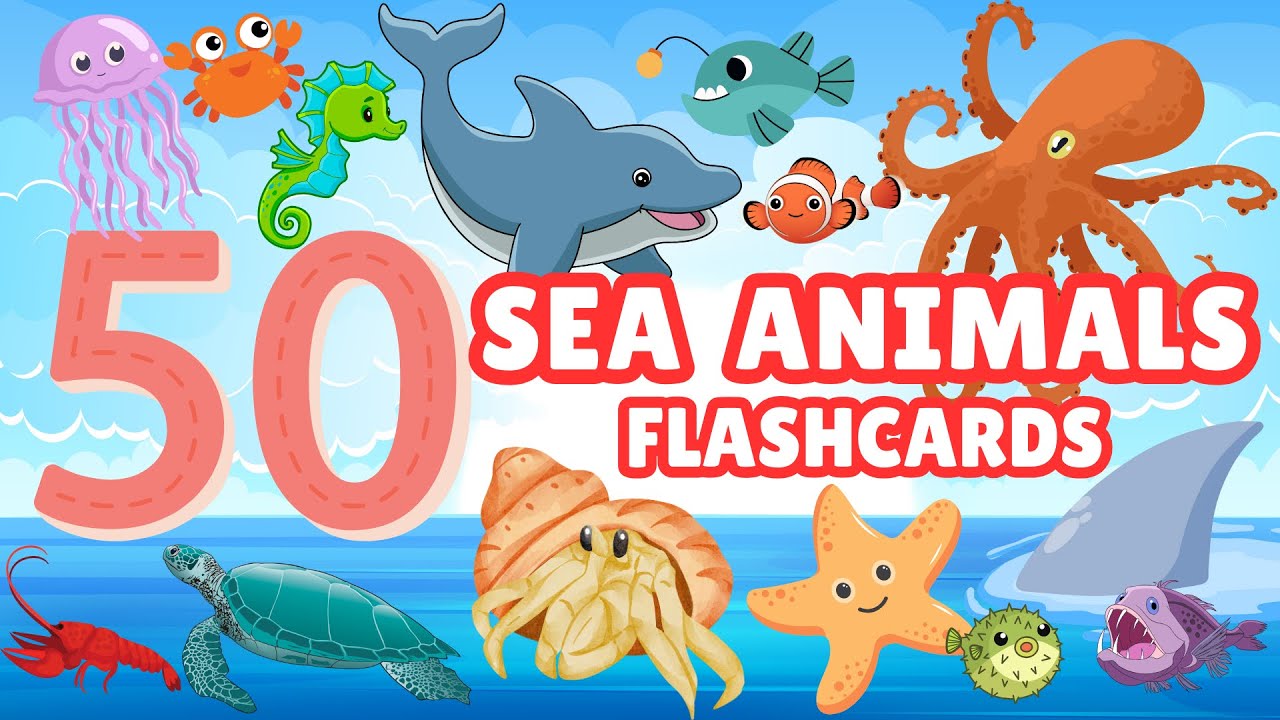 Flashcard Fun: 50 Ocean Animals Every Kid Should Know | Learn 50 Sea ...