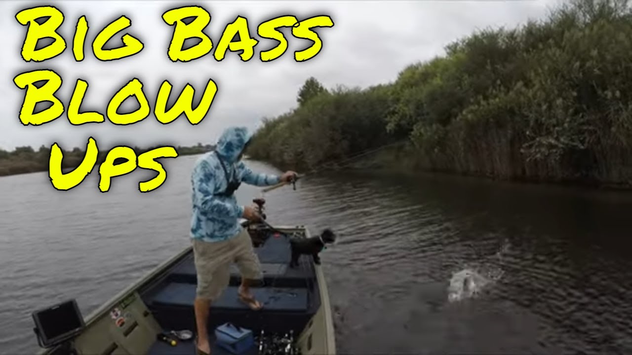 Super Spook BOYO Fall Top Water Fishing One Man One Bait One Lake - YouTube