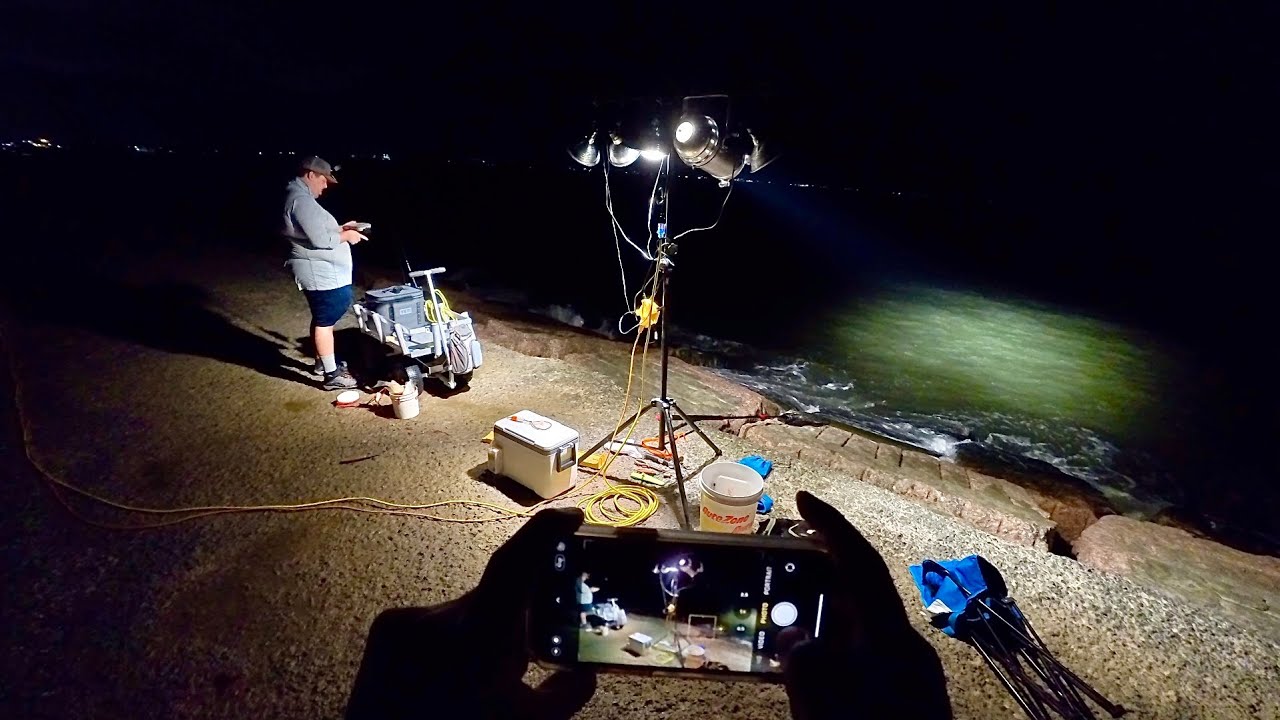 Exotic fish caught while night fishing the jetty (Catch, Clean, Cook ...