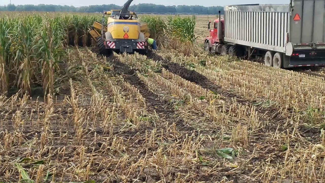 2019 mudding - YouTube