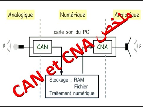 les CAN et CNA ( convertisseur N/A et A/N) [ملخص] - YouTube