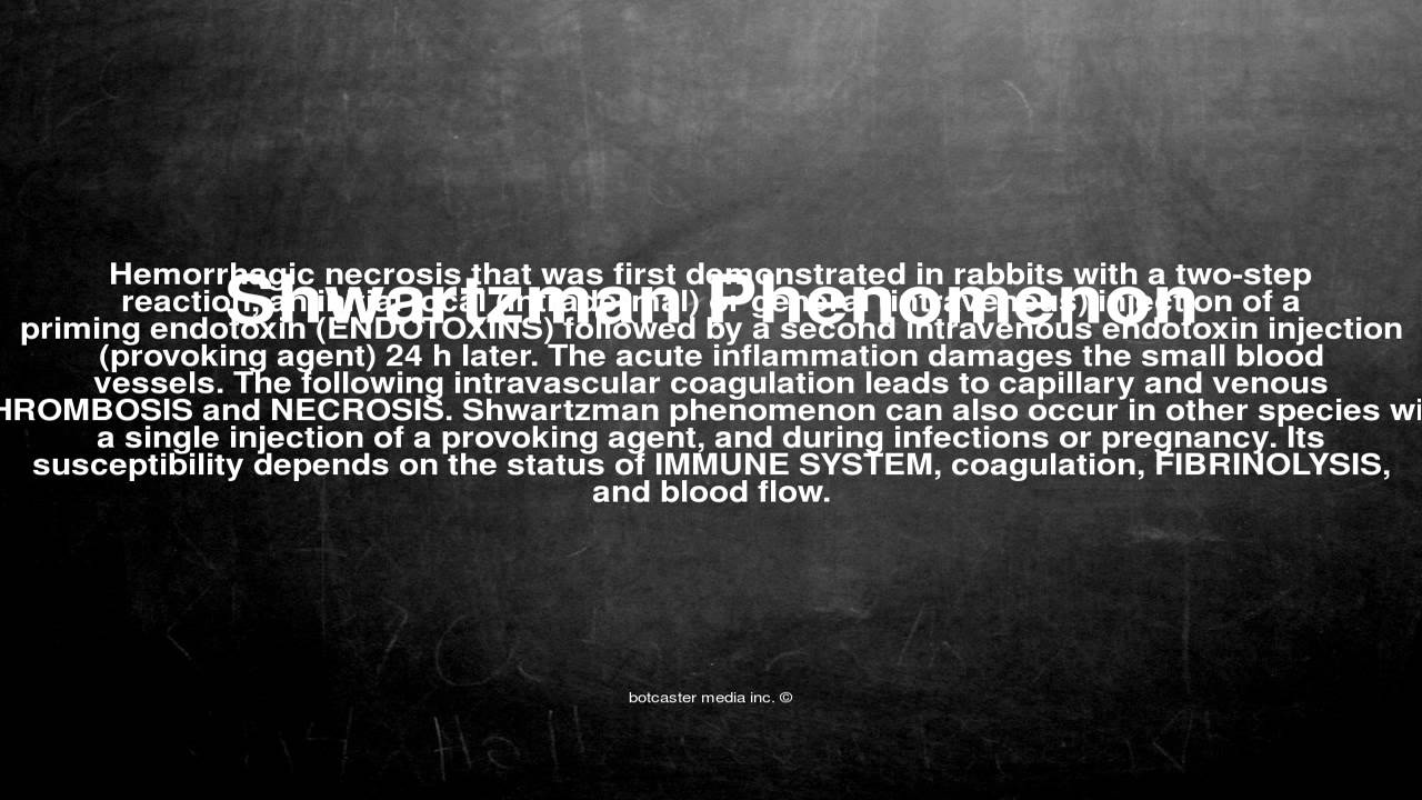 Medical vocabulary: What does Shwartzman Phenomenon mean - YouTube